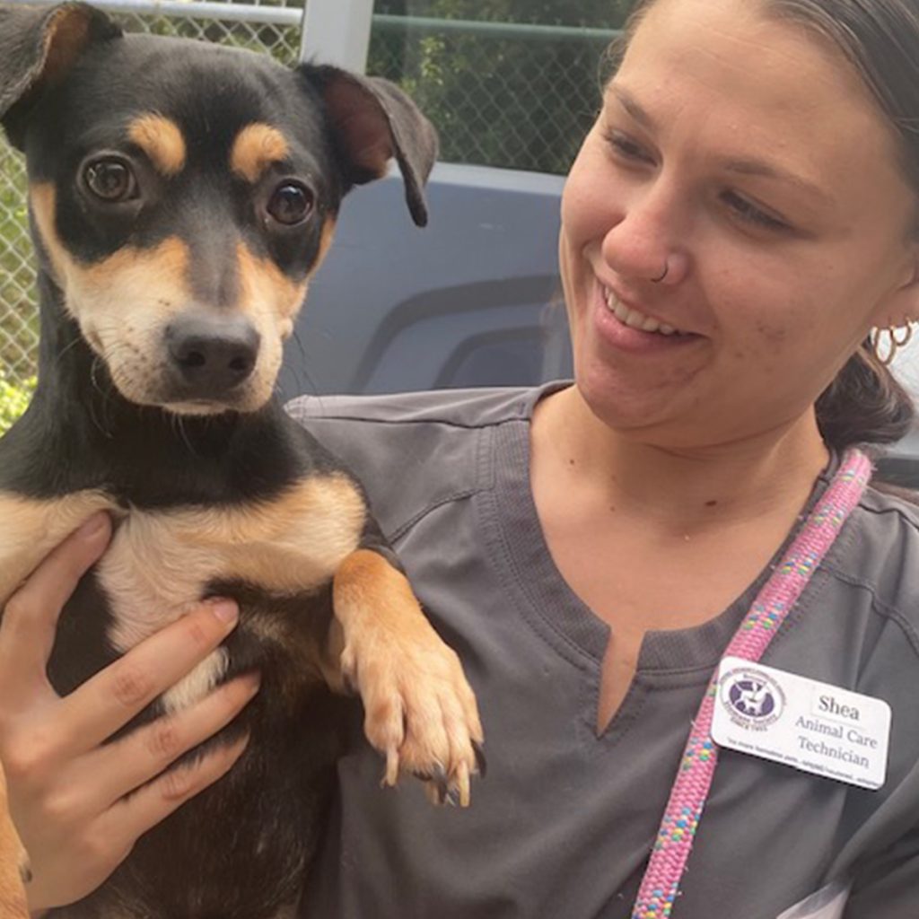 Donate - Brevard Humane Society